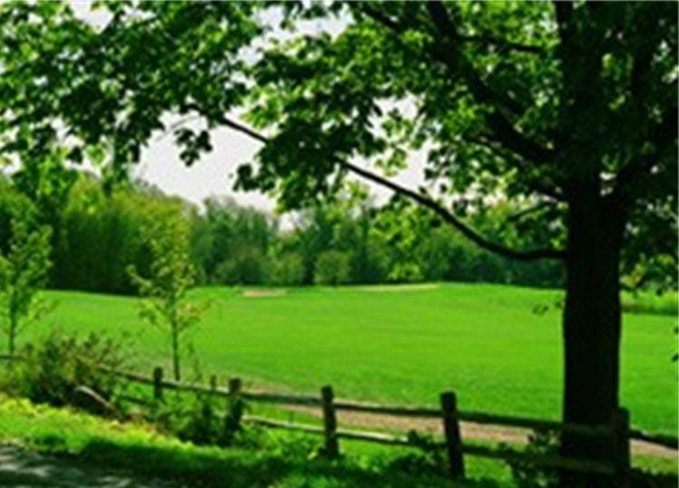 Course Info & Scorecard - The Bridges Golf Course